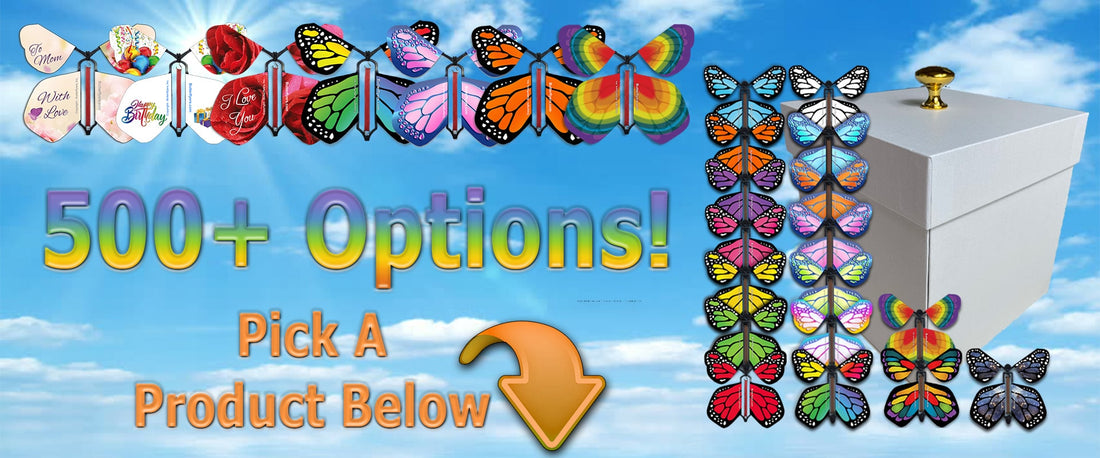 Famous Flying Butterfly Boxes! 500+ Different Options To Choose ...