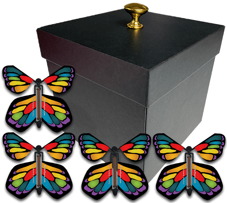 Famous Flying Butterfly Boxes! 500+ Different Options To Choose ...