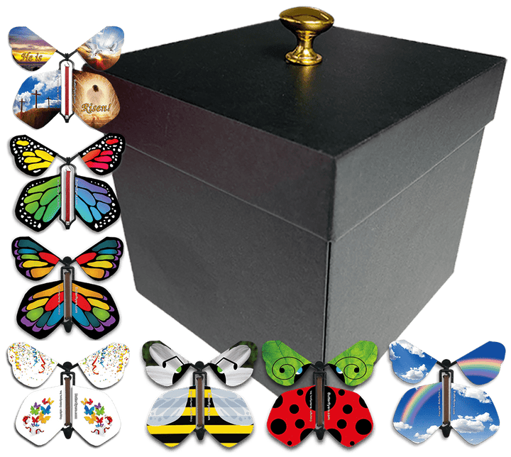 Famous Flying Butterfly Boxes! 500+ Different Options To Choose ...