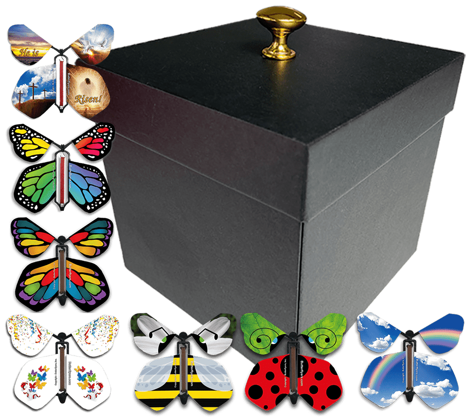 All Surprise Butterfly Boxes, Wind Up Flying Butterflyers and Greeting