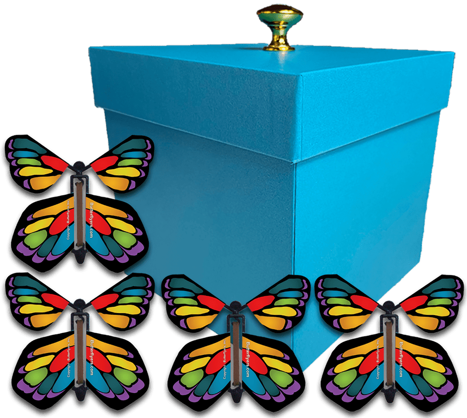 Famous Flying Butterfly Boxes! 500+ Different Options To Choose ...