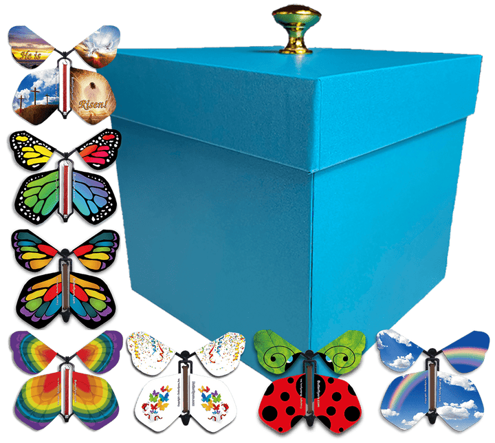 Famous Flying Butterfly Boxes! 500+ Different Options To Choose ...