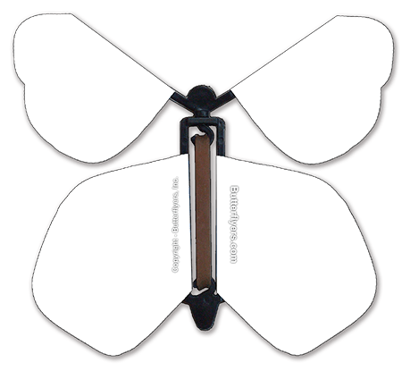 Blank Flying Butterfly – Butterflyers