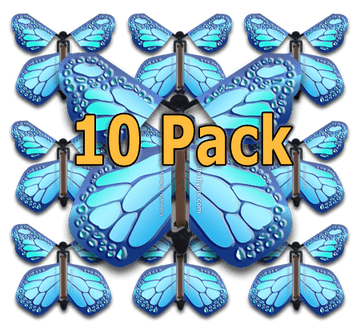 Top 20 Best Selling Butterlfyers, Boxes & Cards – Butterflyers