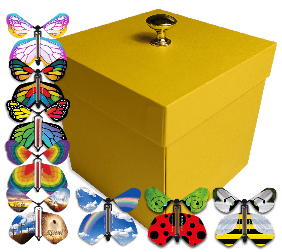 Famous Flying Butterfly Boxes! 500+ Different Options To Choose ...