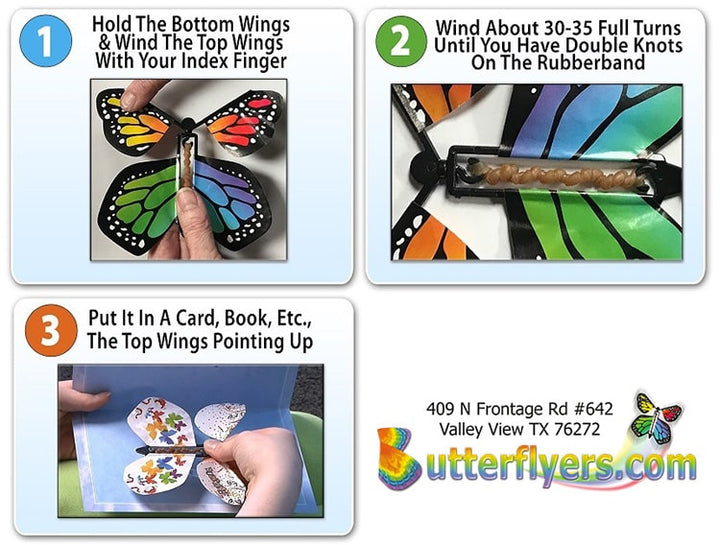 Famous Flying Butterfly Boxes! 500+ Different Options To Choose ...