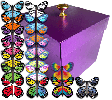 Surprise Flying Butterfly Gift Boxes – Butterflyers