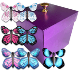 Surprise Flying Butterfly Gift Boxes – Butterflyers