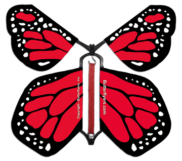 Famous Flying Butterfly Boxes! 500+ Different Options To Choose ...