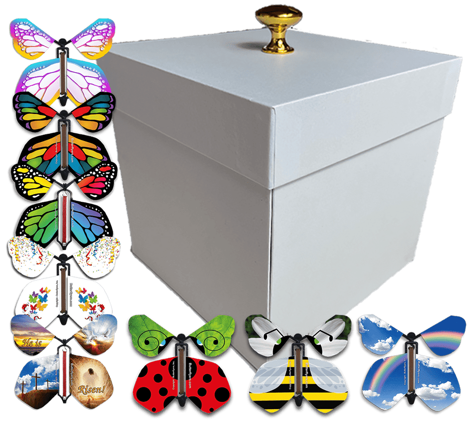 Famous Flying Butterfly Boxes! 500+ Different Options To Choose ...