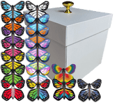 Surprise Flying Butterfly Gift Boxes – Butterflyers