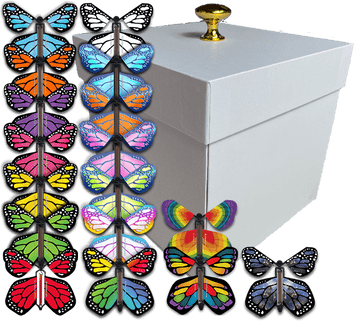 Surprise Flying Butterfly Gift Boxes – Butterflyers