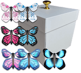 Surprise Flying Butterfly Gift Boxes – Butterflyers