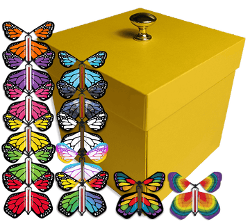 Surprise Flying Butterfly Gift Boxes – Butterflyers