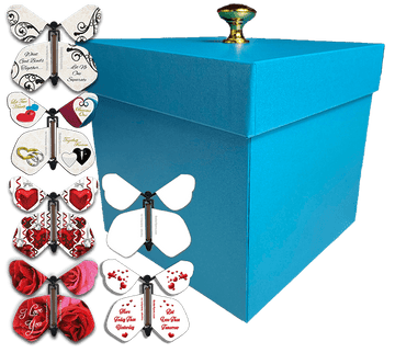 Famous Flying Butterfly Boxes! 500+ Different Options To Choose ...